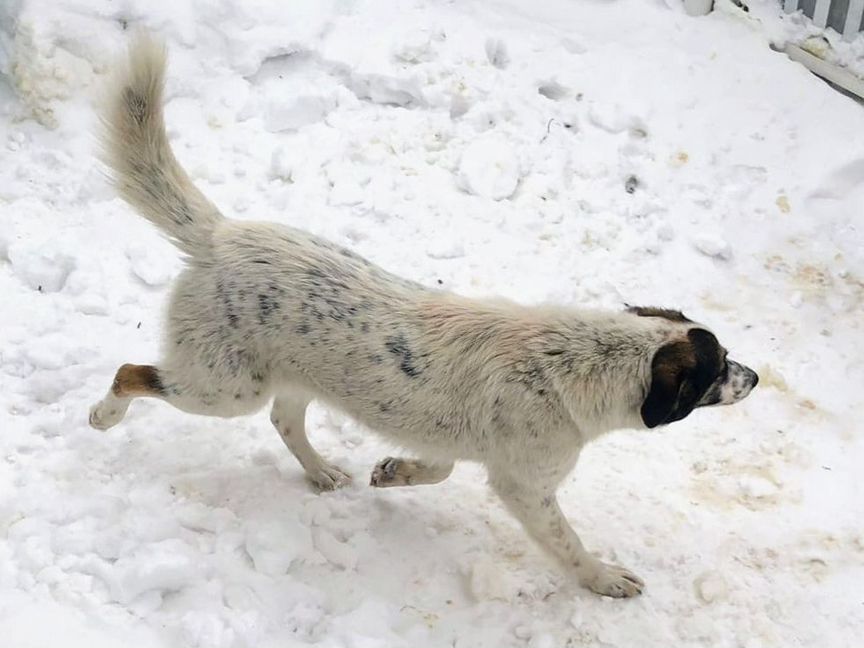 Шикарная девочка