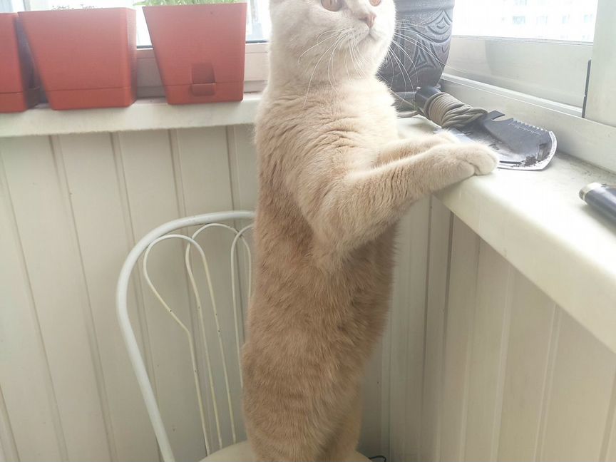 Котик для вязки