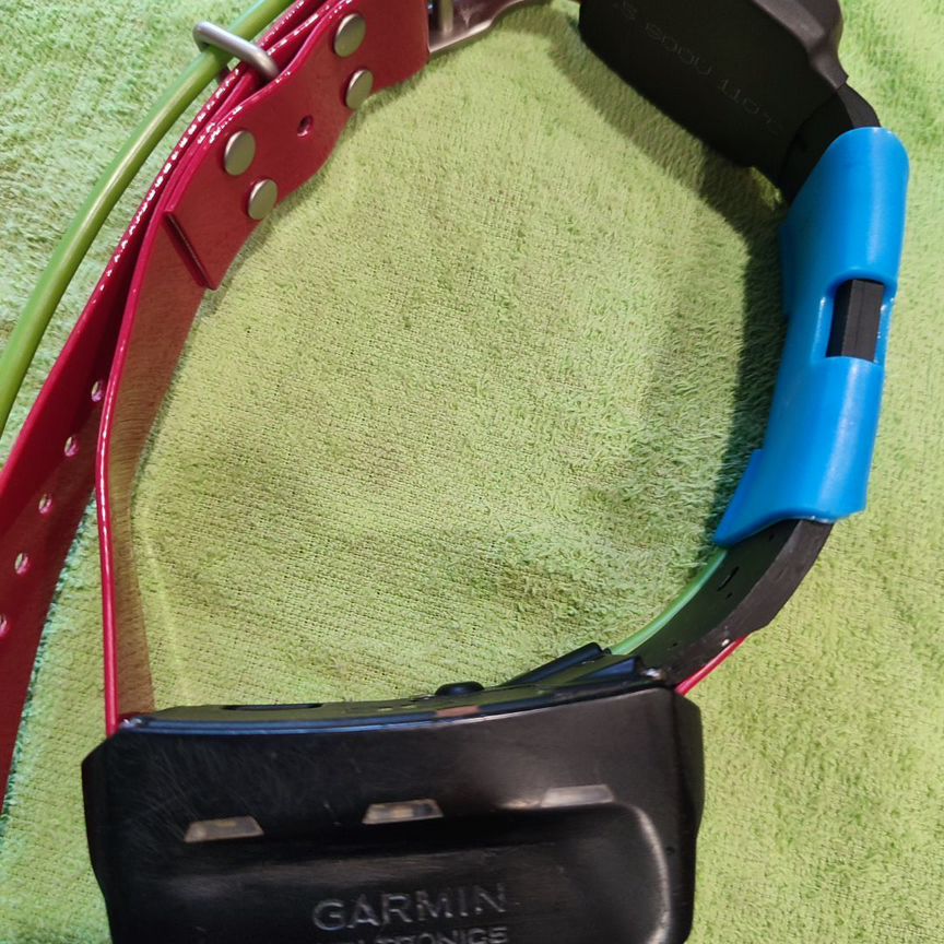 Ошейник Garmin T5 Европа