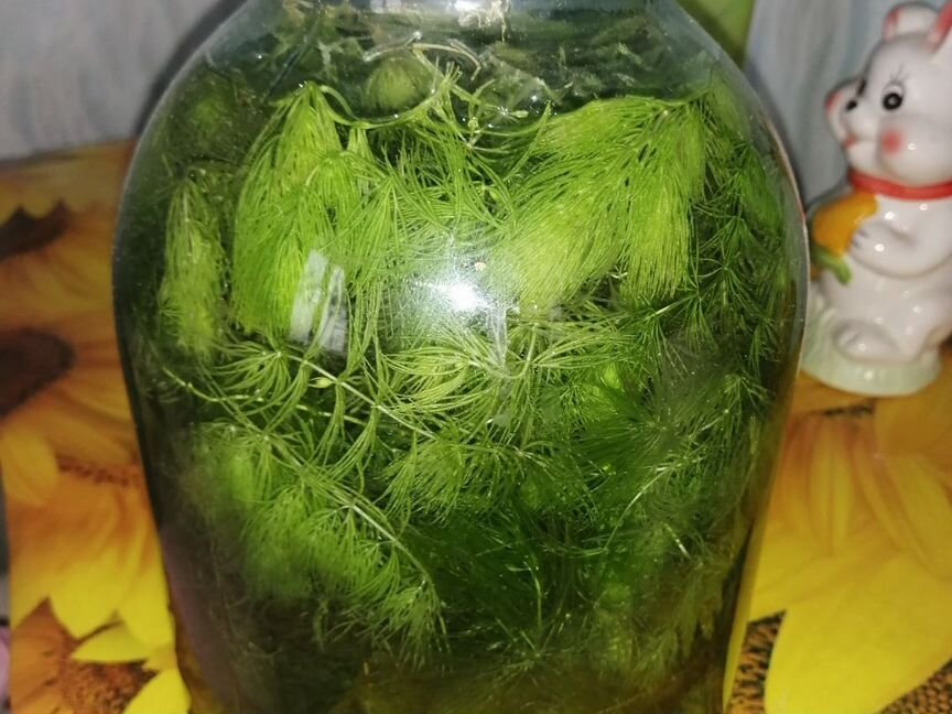 Елочка в аквариум