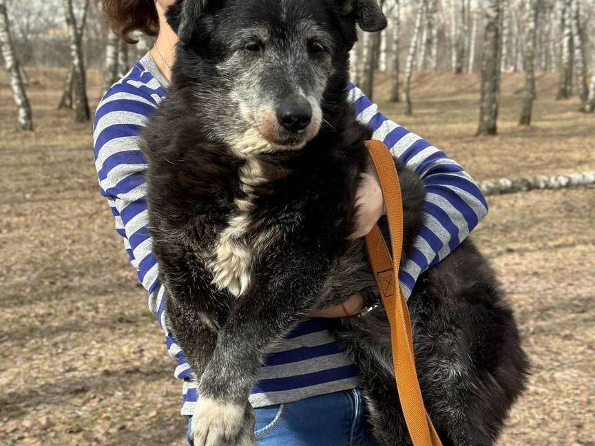Жуля осталась совсем одна