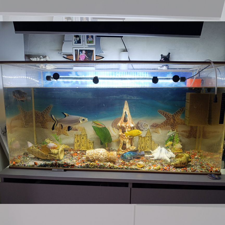 Аквариум 200 литров с рыбками