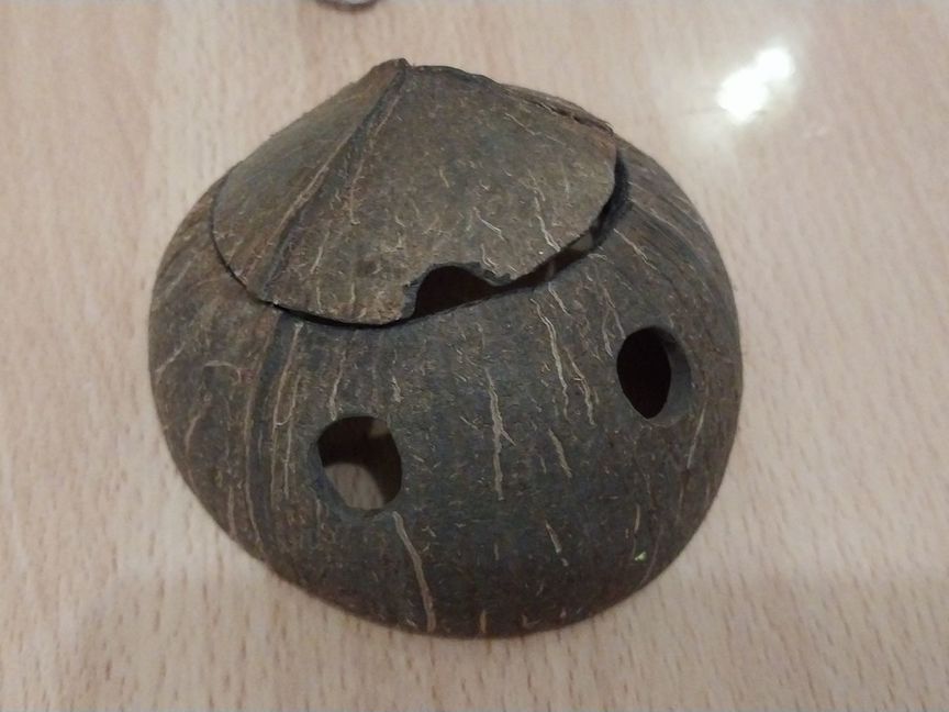 Кокосовый домик для рыбок