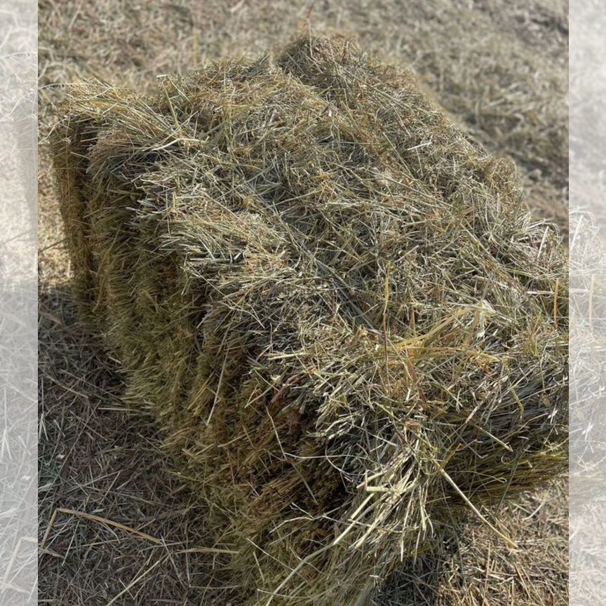 Сено в тюках