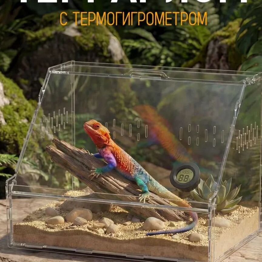 Террариум