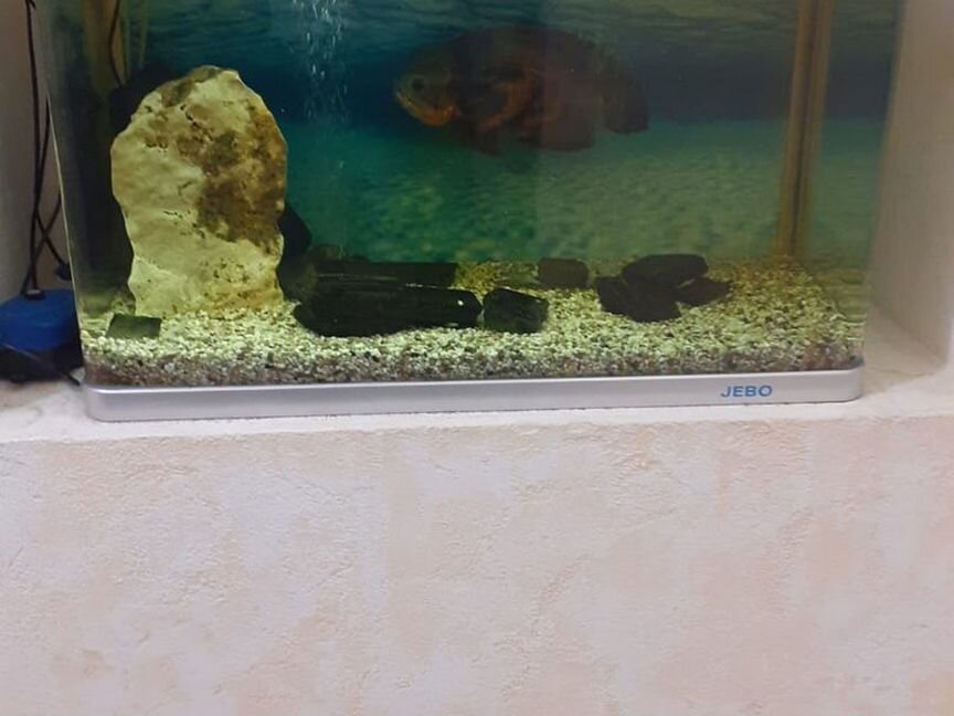 Продам аквариум