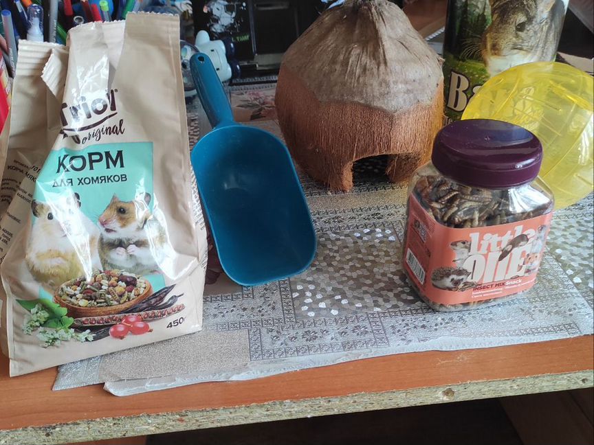 Принадлежности для хомяков