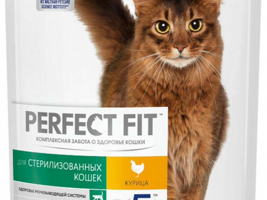 Влажный корм для кошек