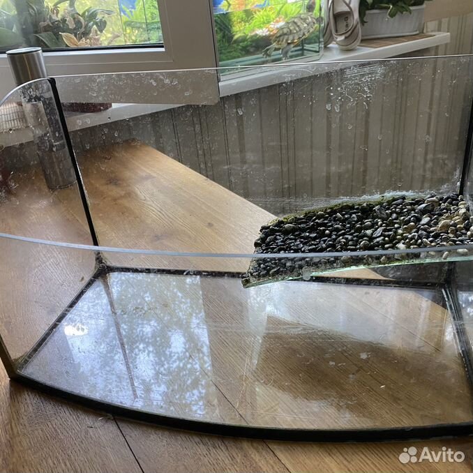 Аквариум для красноухой черепахи