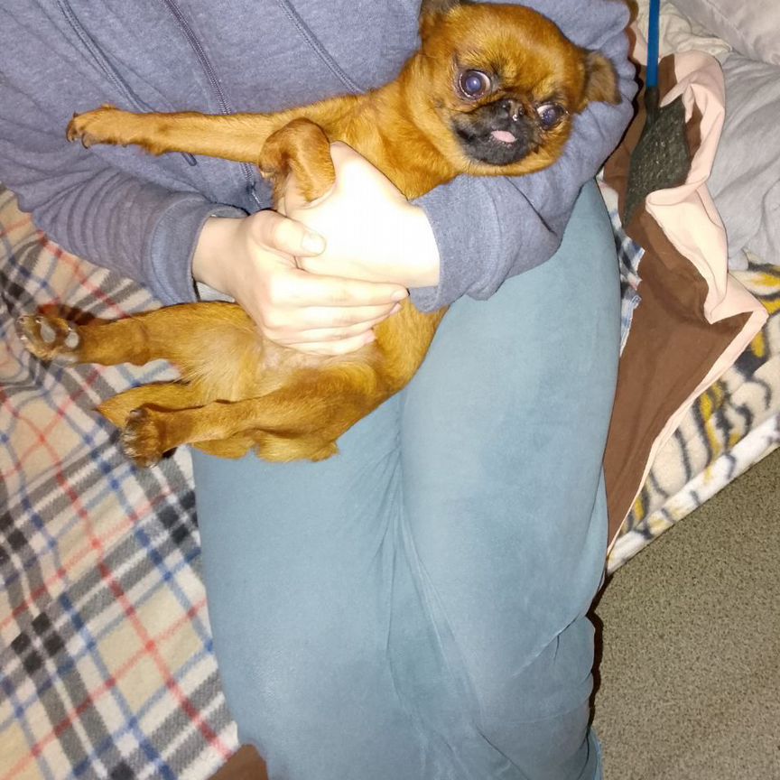 Мини девочка