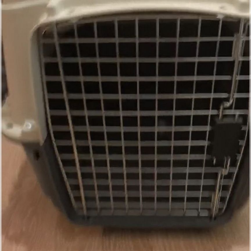 Переноска для собаки на запчасти