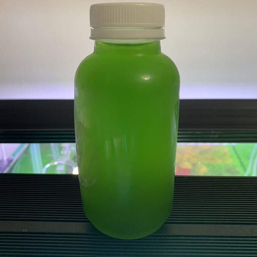 Корм для личинки амано/полипов/кораллов