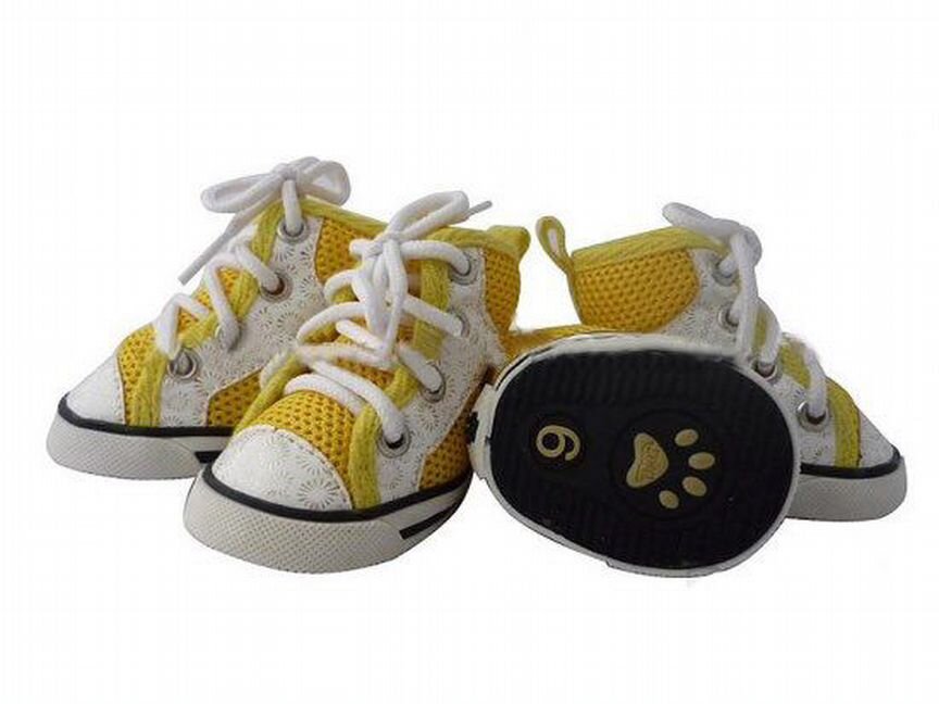 Кеды для собаки