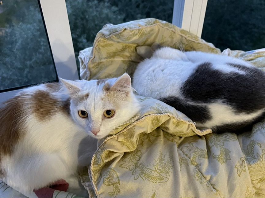 10 причин моей ненависти