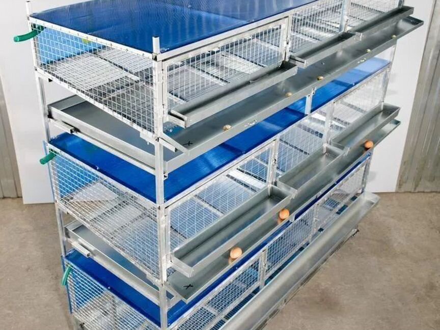 Клетки для кур