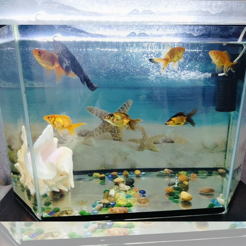 Аквариум с рыбками и тумбой