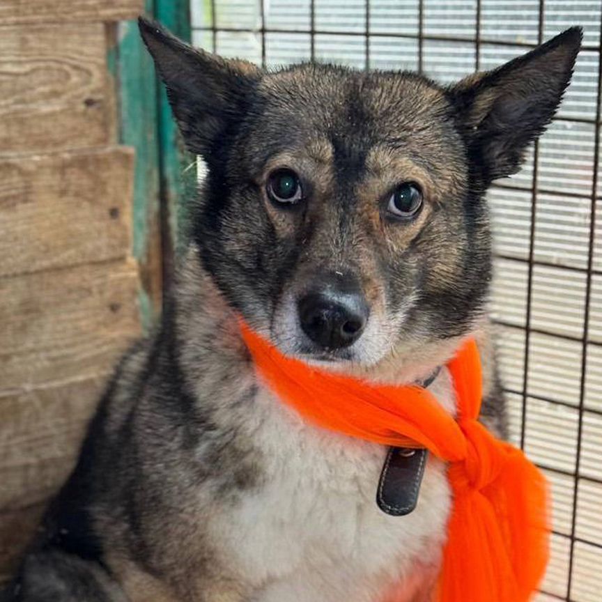 Скромная, спокойная Томочка мечтает стать любимой