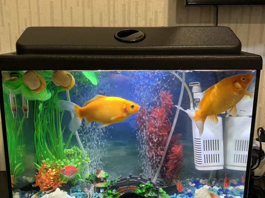 Аквариум 30 литров