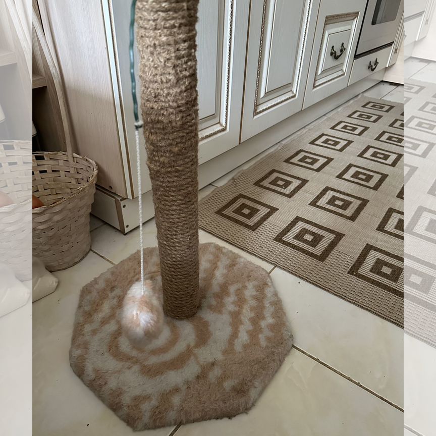 Когтеточка