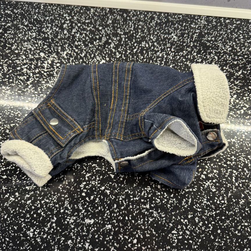 Костюм на собаку чихуа хуа