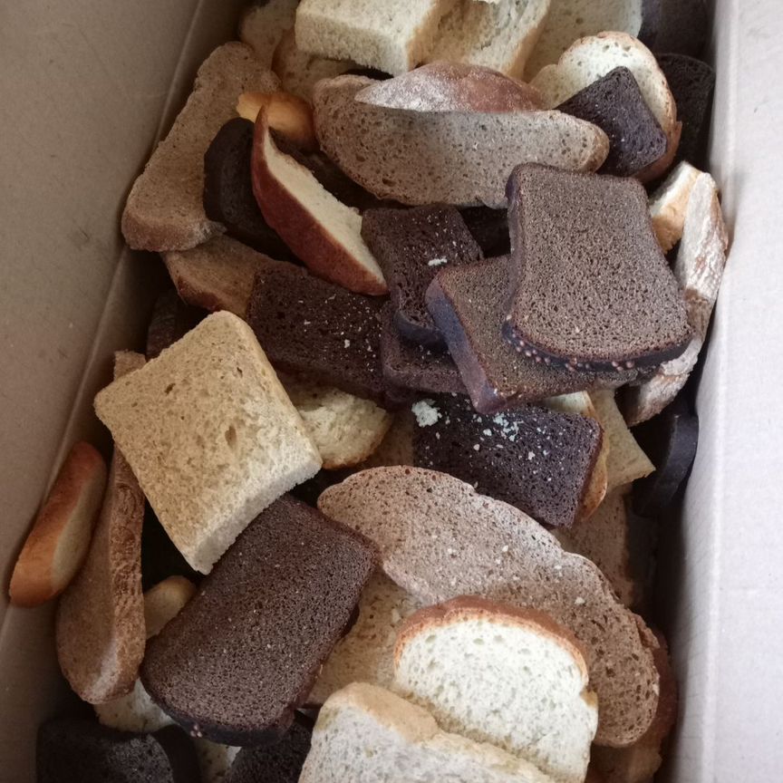 Сухари для животных