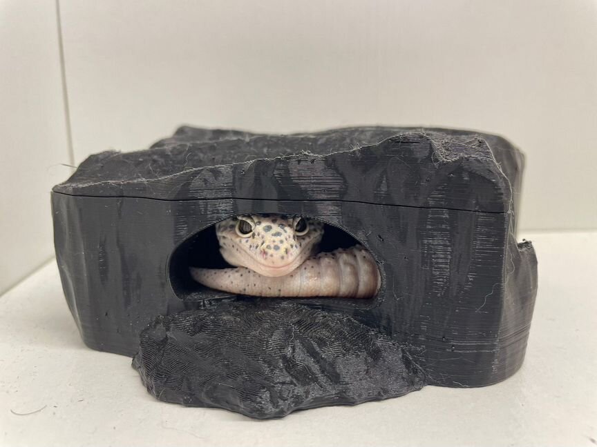 Домик для геккона