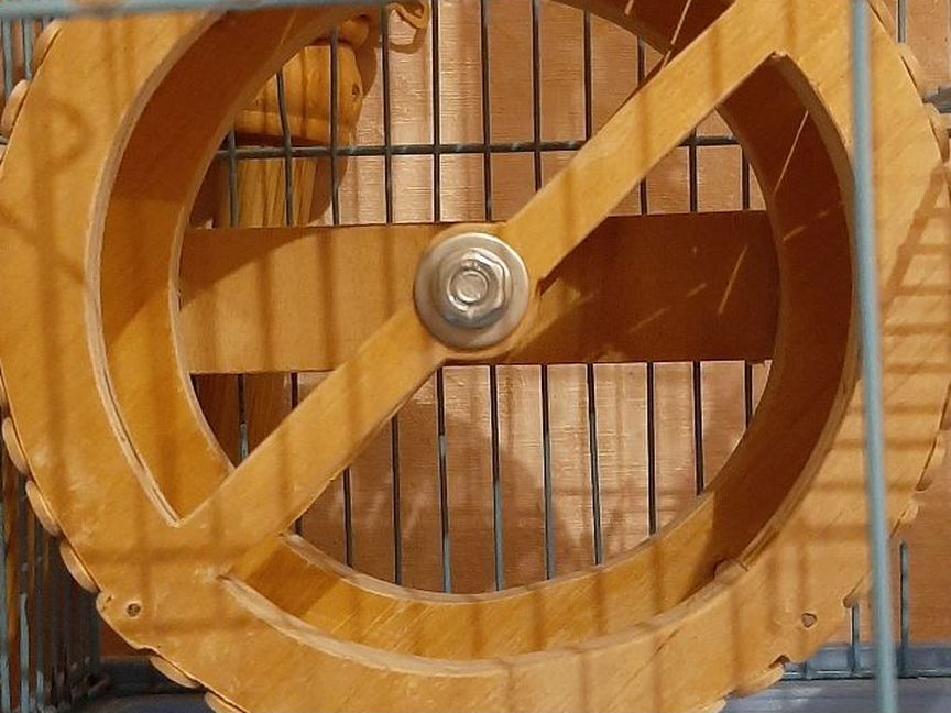 Колесо для хомяка