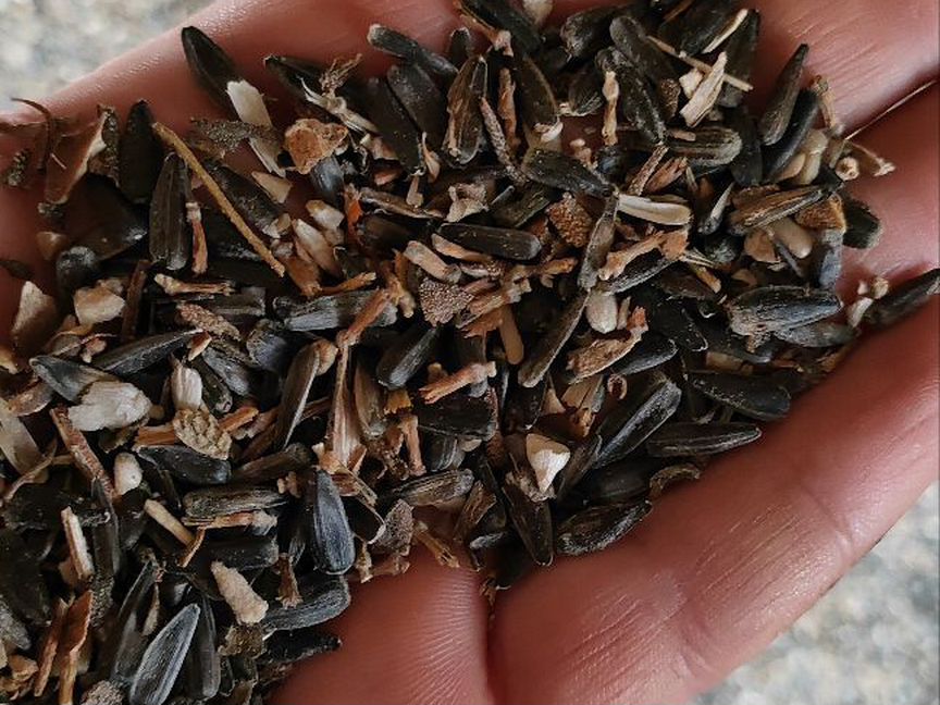 Отходы подсолнечника