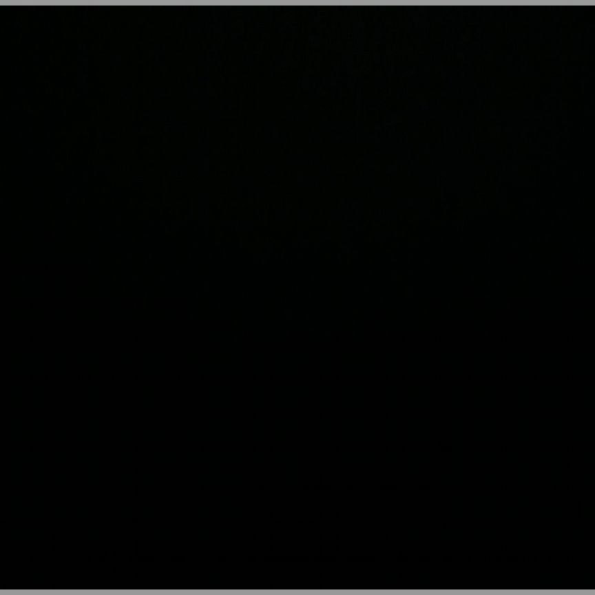 Курицы несушки