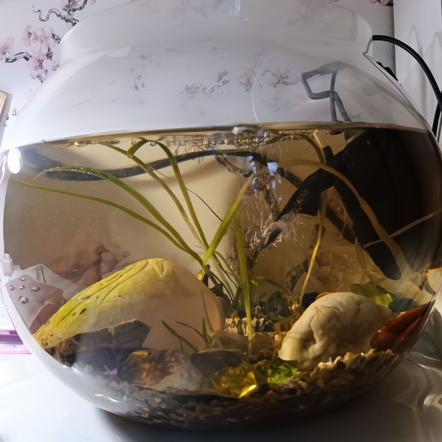 Аквариум круглый 25л