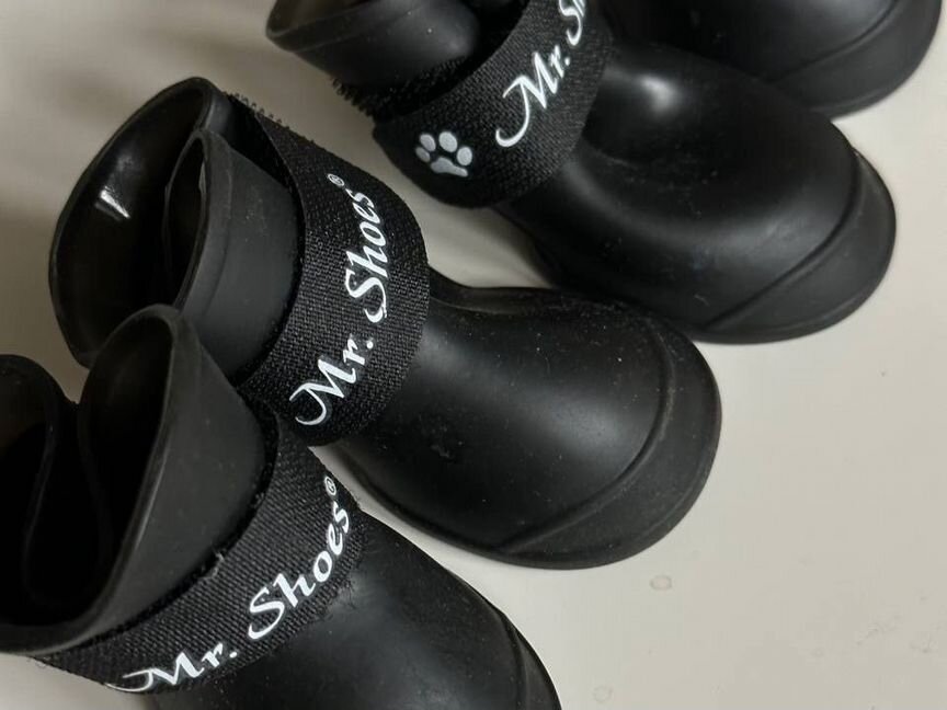 Сапоги для собак