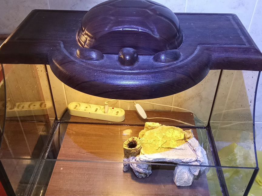 Аквариум для черепах