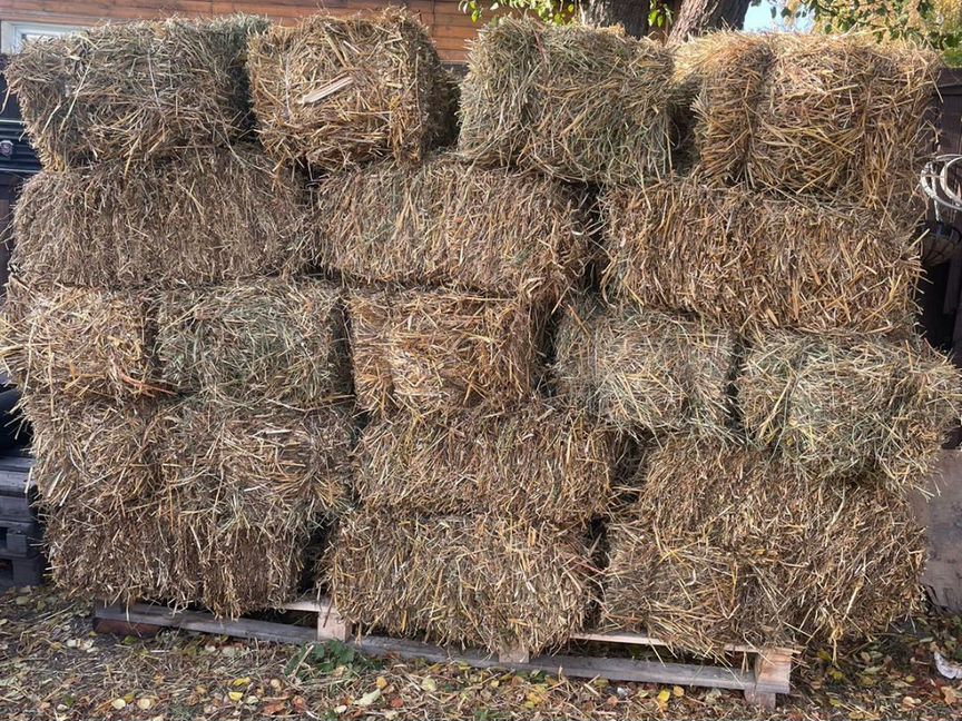 Солома в брикетах и мешках