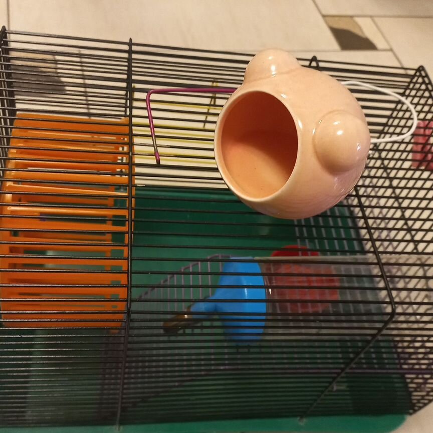 Клетка для грызунов бу