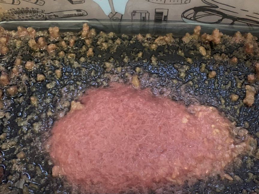 Трубочник Изя