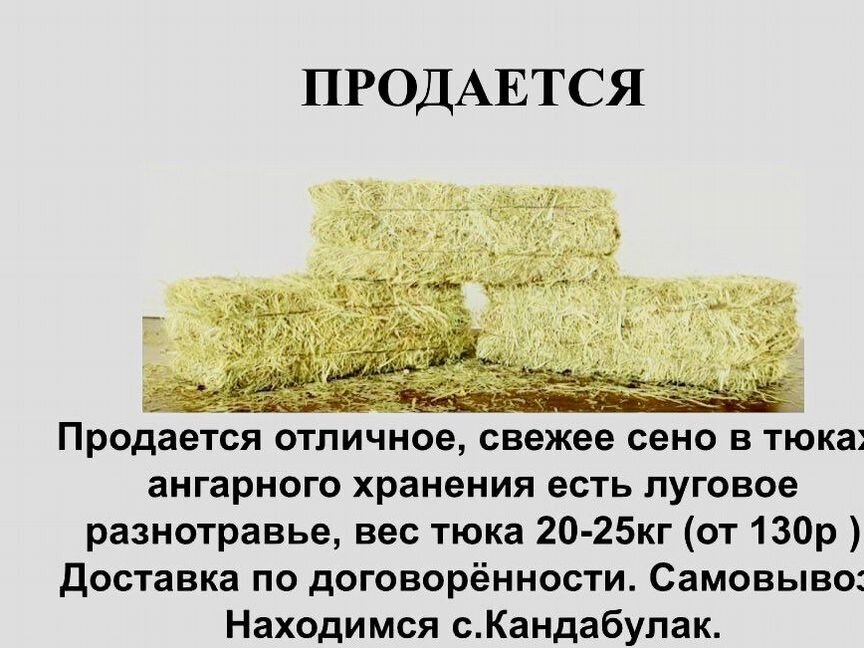 Сено Сергиевский район, новый урожай 2023г