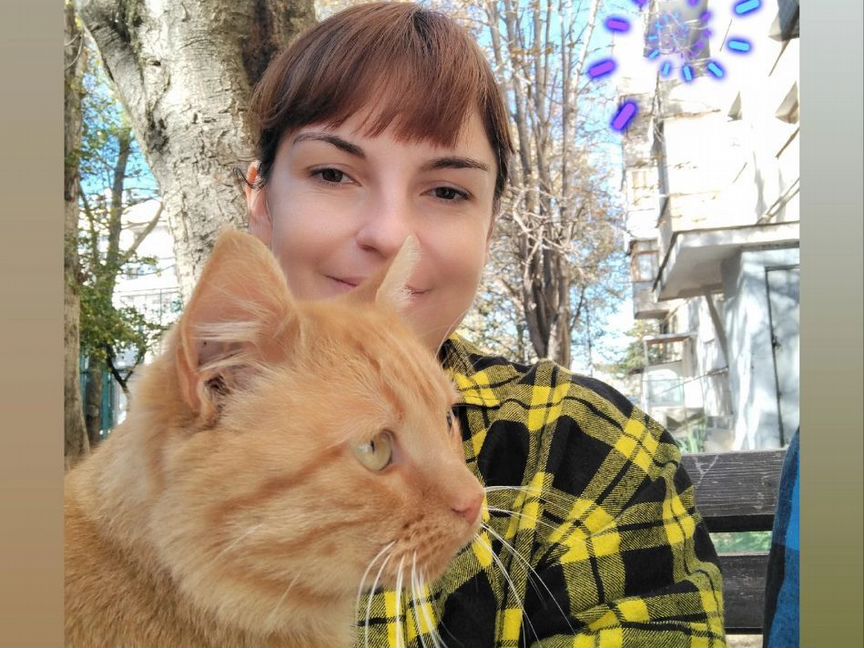 Солнечный рыжий котик в добрые руки