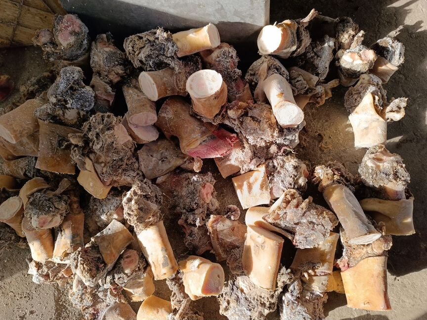 Кости для собак