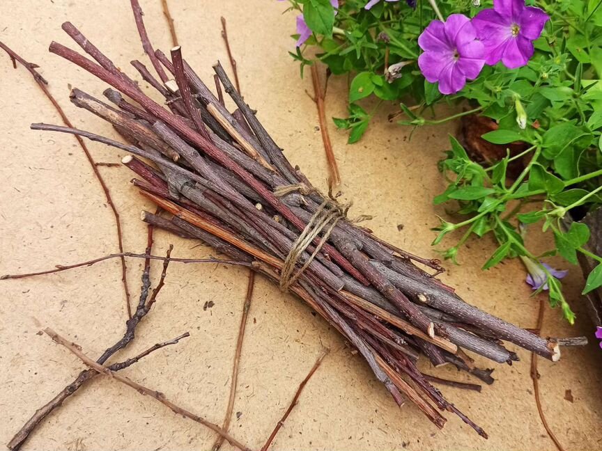 Декоративные ветки, лакомство для грызунов