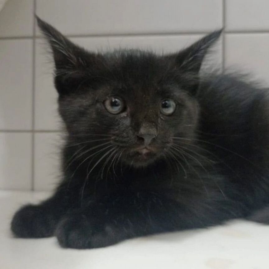 Выкинули на помойку