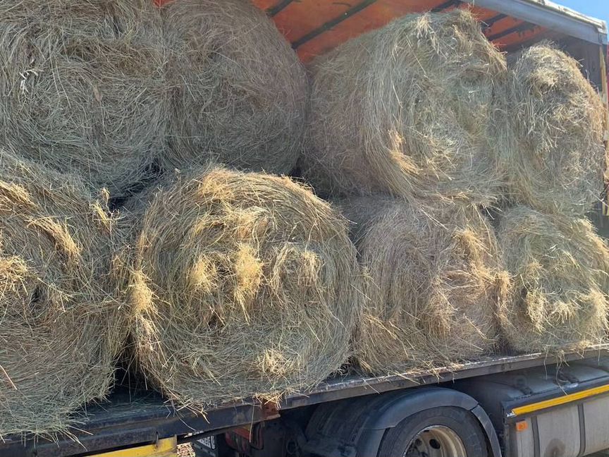 Сено по 40 рулонов