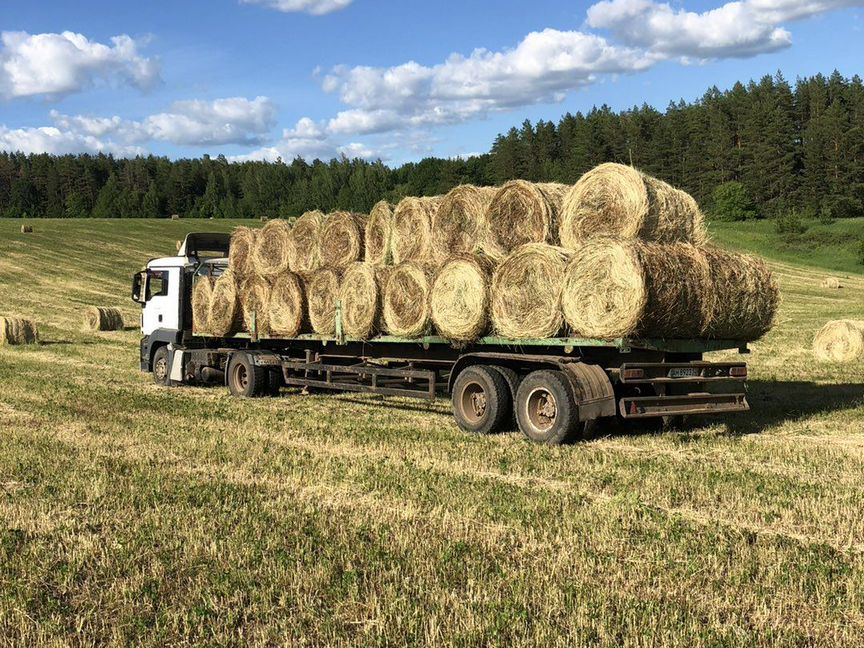Сено в рулонах