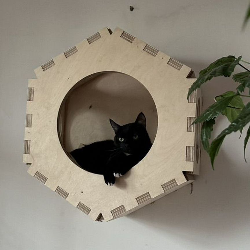 Домик для котика