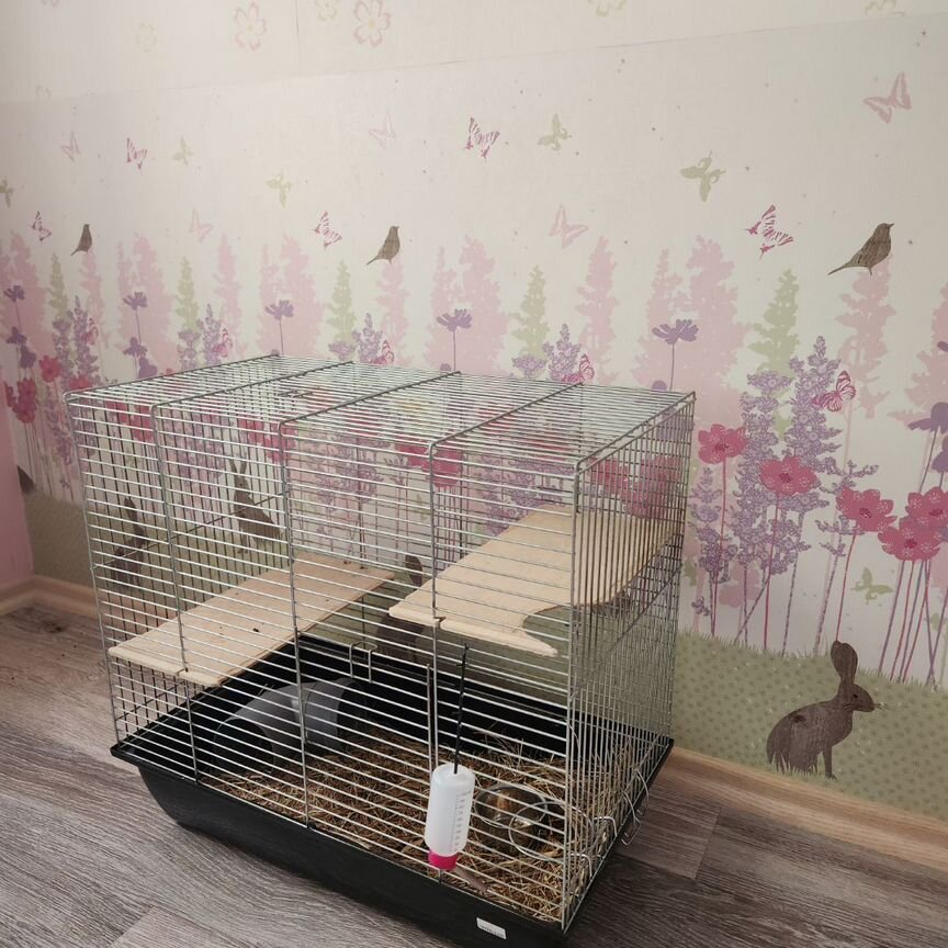 Клетка для шиншиллы бу