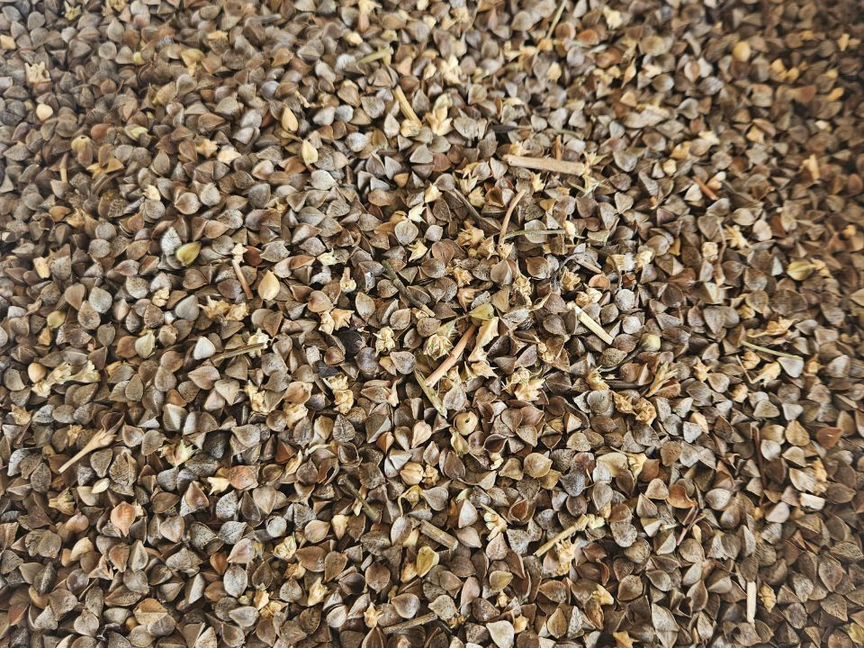 Гречка 10/35кг