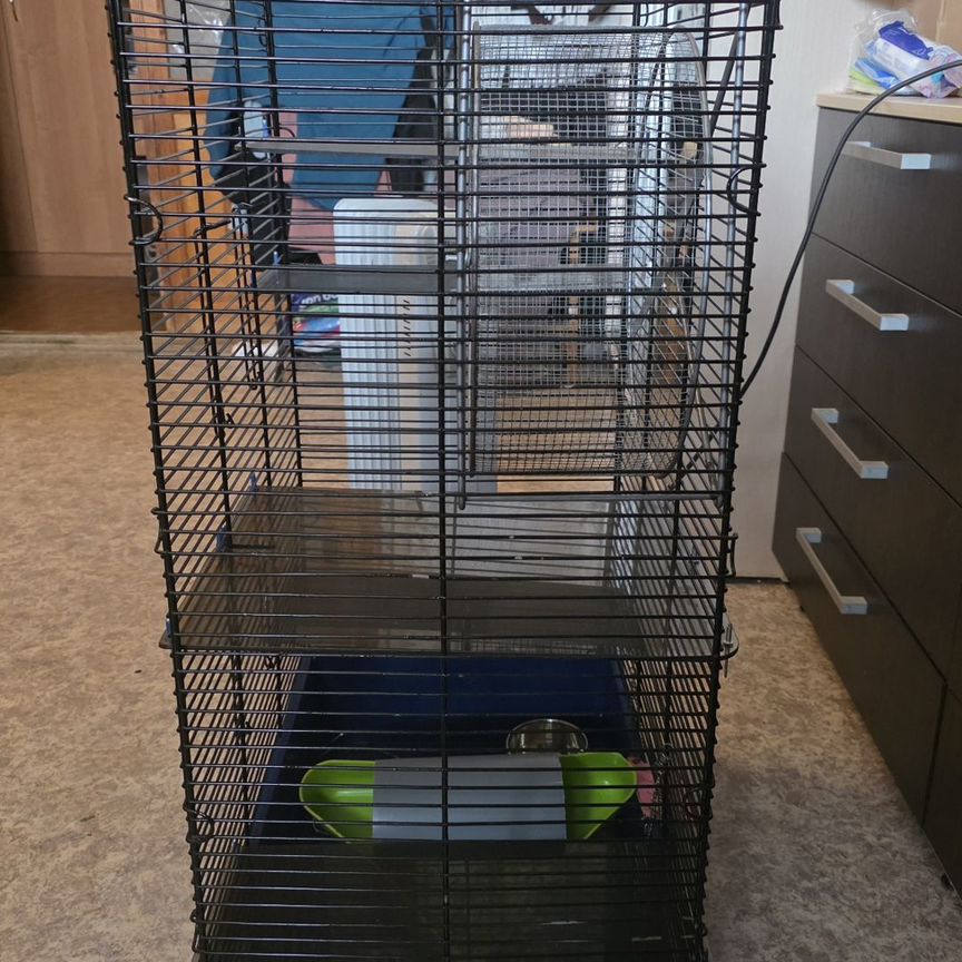 Клетка для грызунов