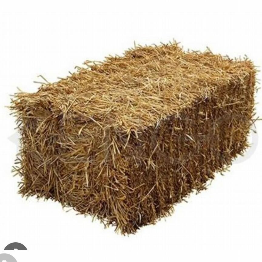 Сено в тюках