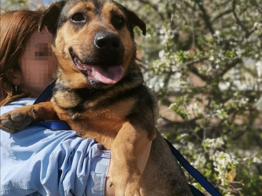 Малышка заждалась своих родителей