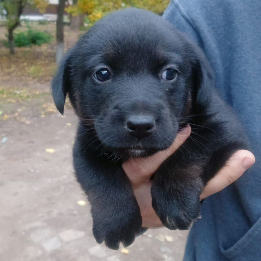 Мальчик 1 месяц. Мама маленькая