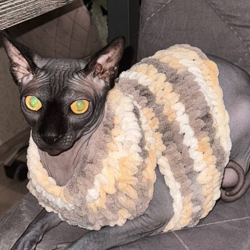 Свитер для кота